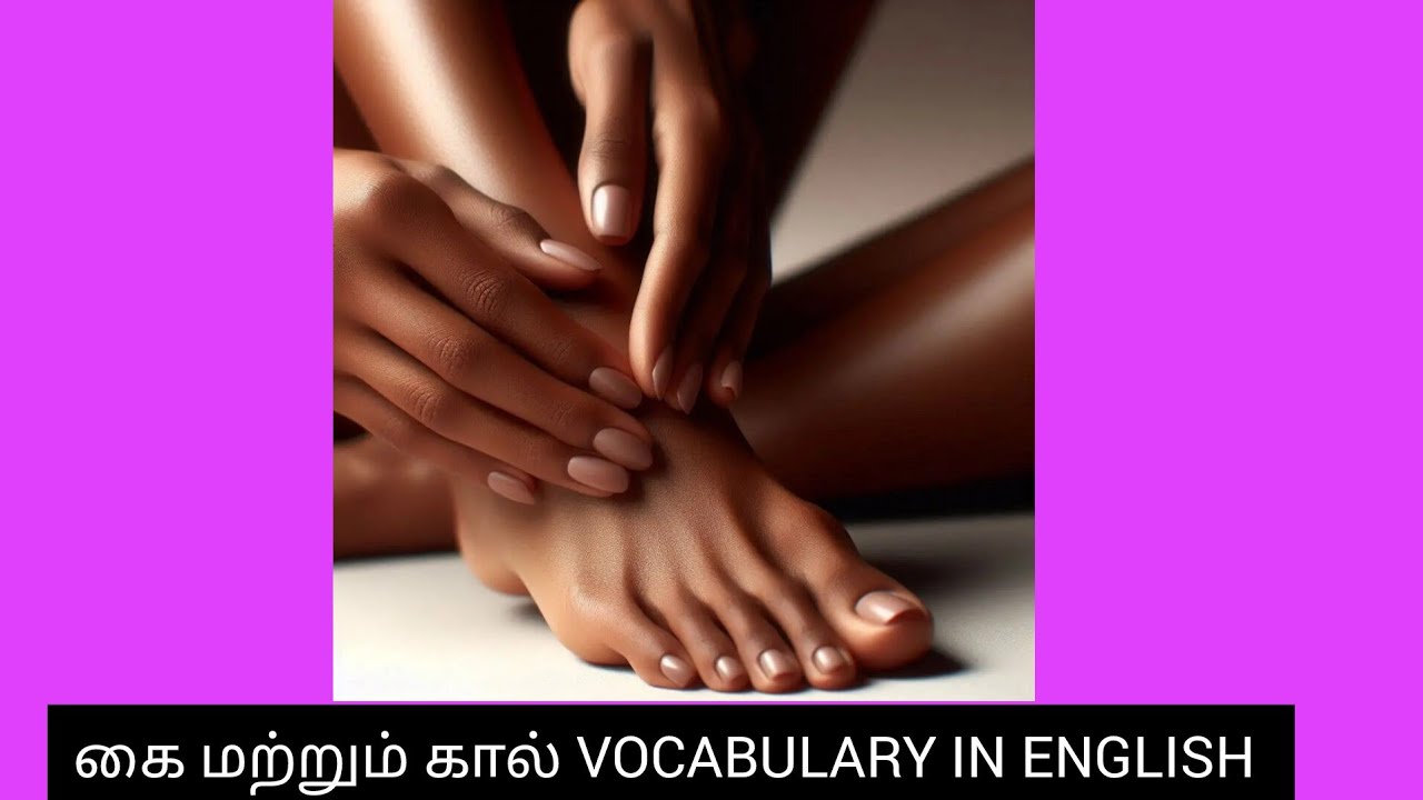 Kai & Kaal Vocabulary in English | Tamil to English Body Parts | Hand ...
