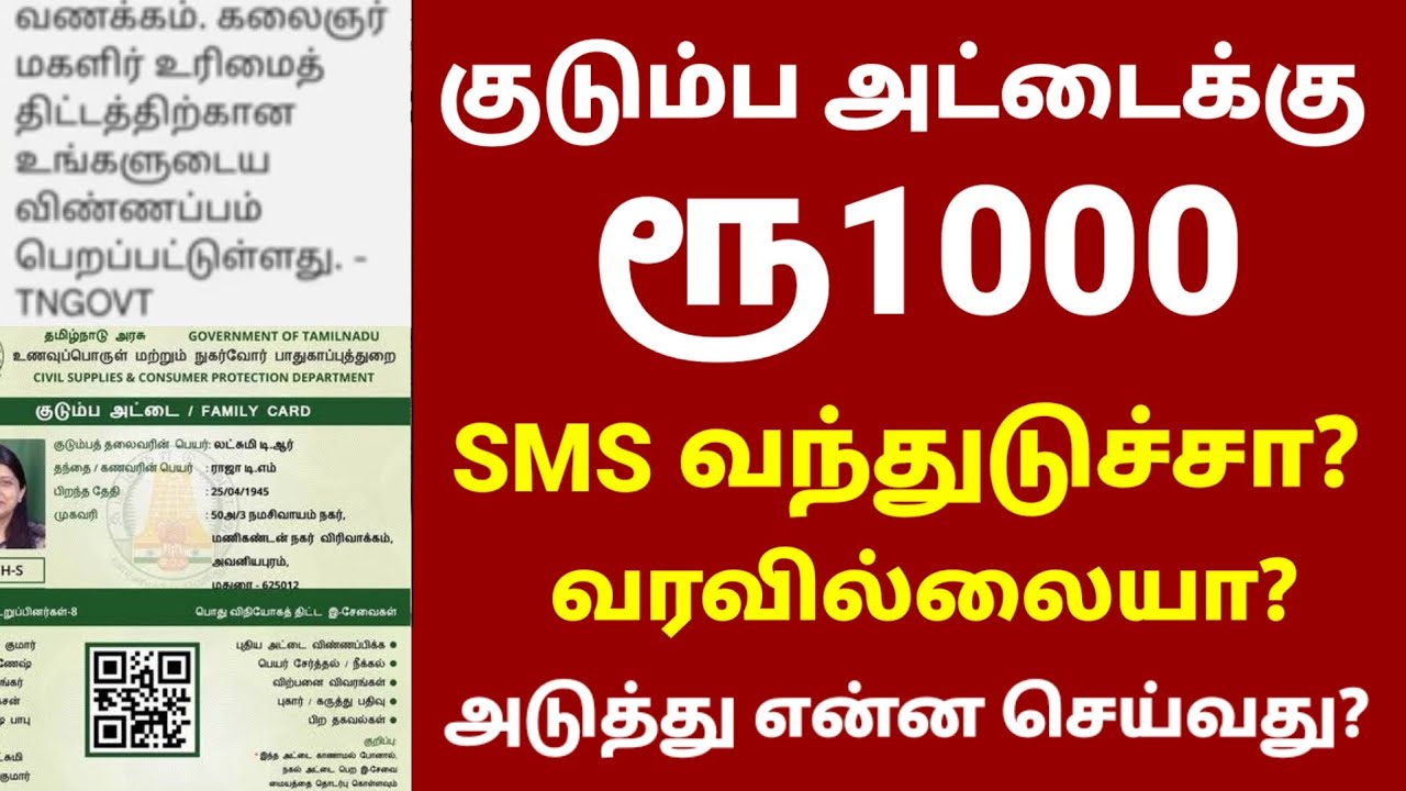 ரேஷன் அட்டைக்கு புதிய அறிவிப்பு | NPHH PHH AAY Ration card news in ...