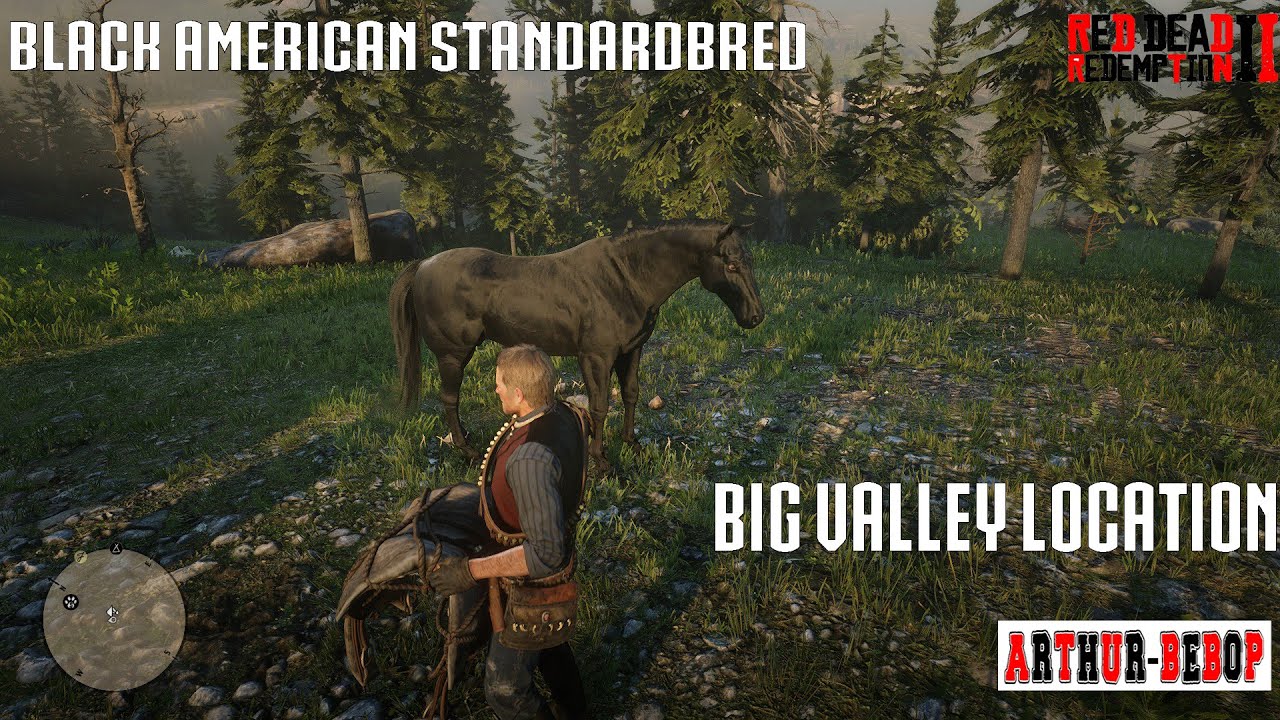 RDR2 - Black Standardbred Nokota Blue and White BIG Valley Guaranteed ...
