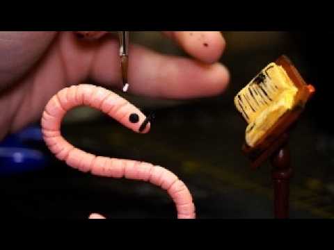 How to sculpt a bookworm…worm 📚🐛 Polymer Clay Tutorial - YouTube
