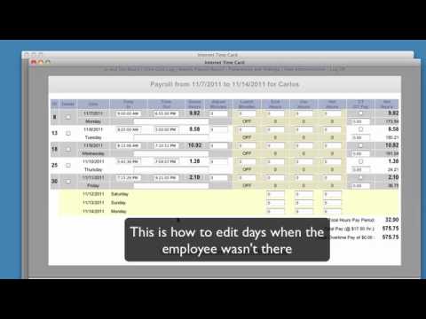 Online Employee Time Tracking: Running Payroll - YouTube