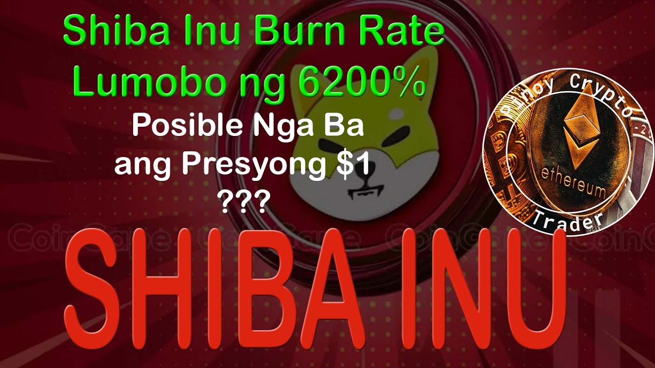 Shiba Inu Burn Rate Lumobo ng 6200% - Posible Nga Ba ang Presyong $1? - YouTube