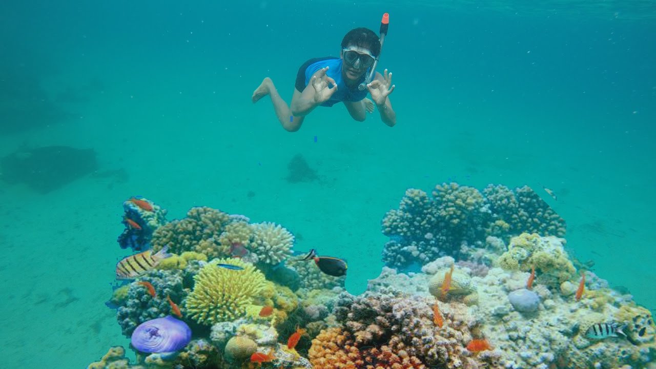 DIP IN A DEEP BLUE SEA 2 - YouTube