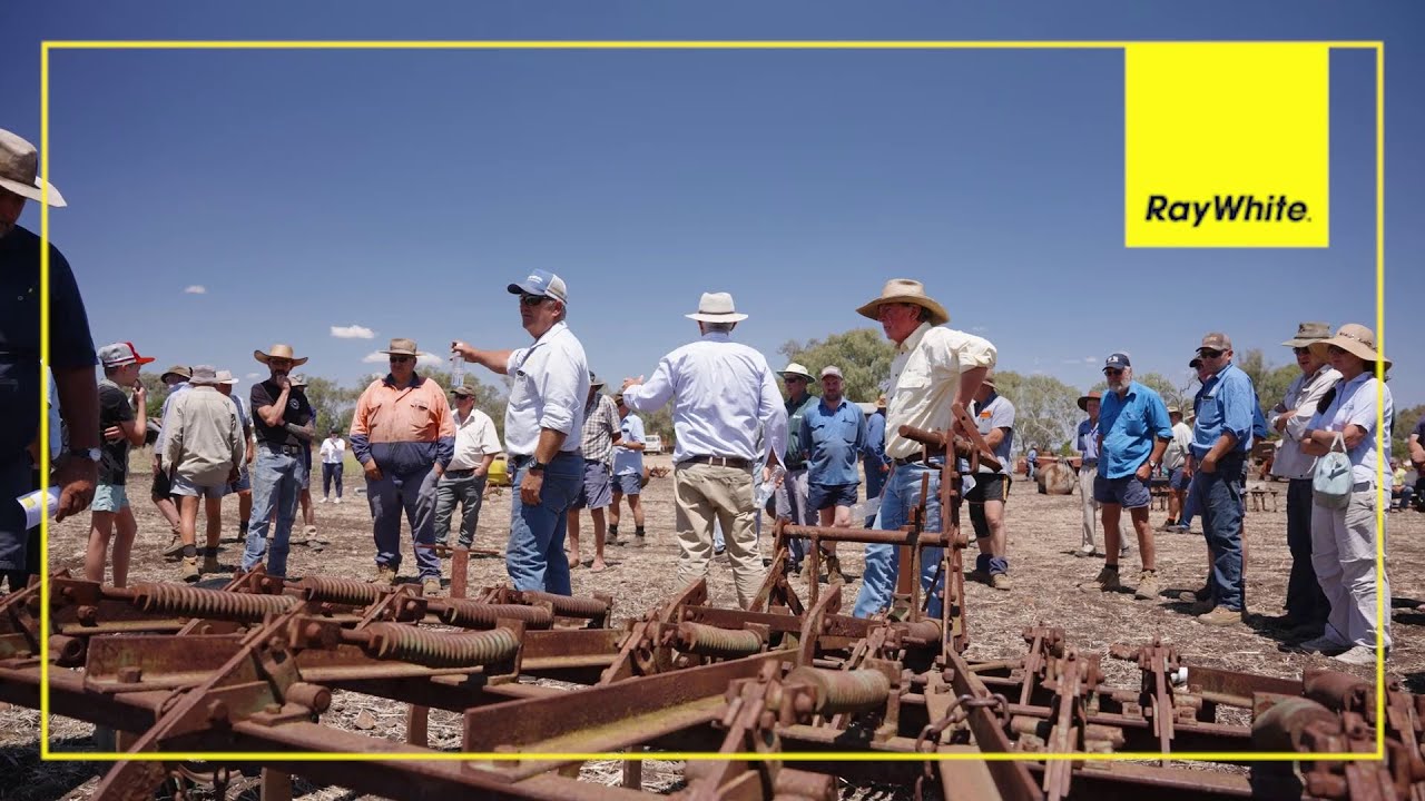 Clearing Sale Highlights | 14 October 2023 - YouTube