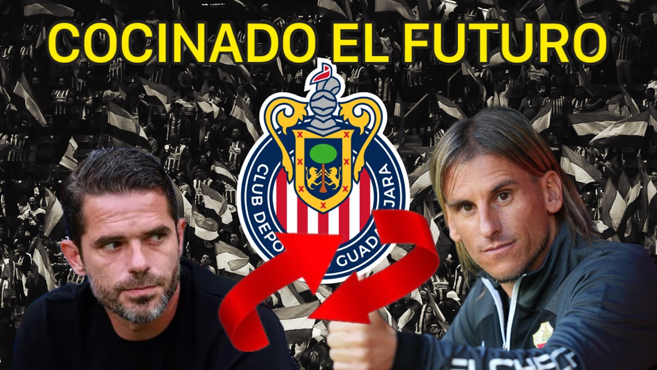 🚨Así será oficial con Selección de Ecuador 🇪🇨 | Fernando Gago rumores ...