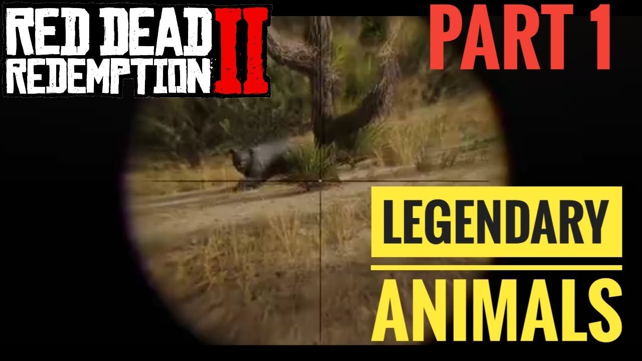 Let's Play Red Dead Side Missions - Legendary Animals (Part 1) Cougar ...