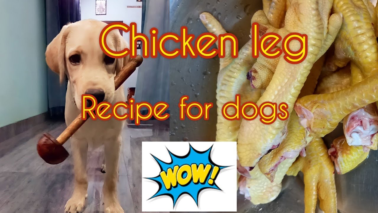 How to prepare Chicken leg recipe for Labrador #dog #puppy #doglover ...