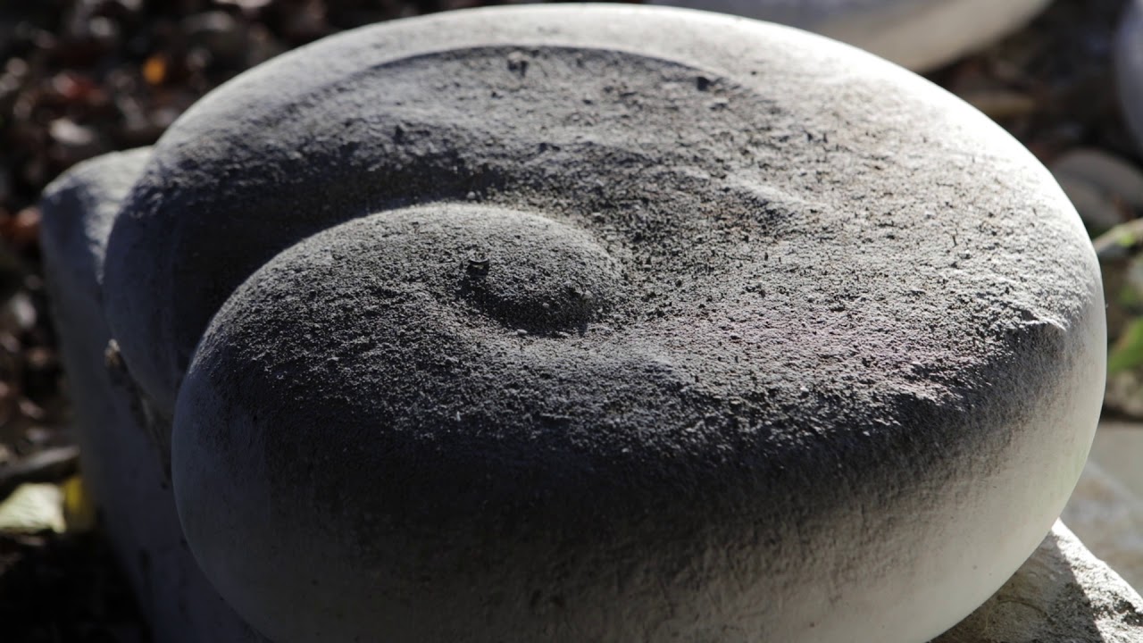 Dominic Welch 2018 - YouTube