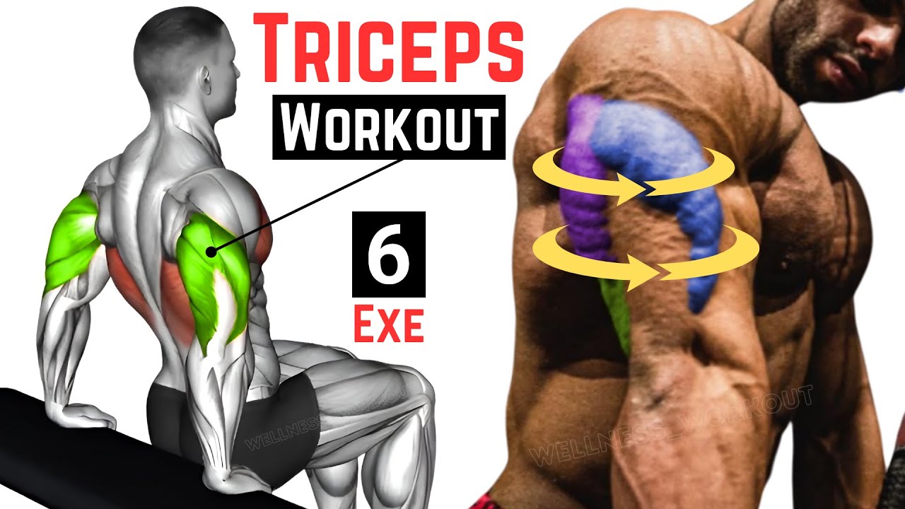 How To Build Triceps workout | Lateral, long, medial heads - YouTube