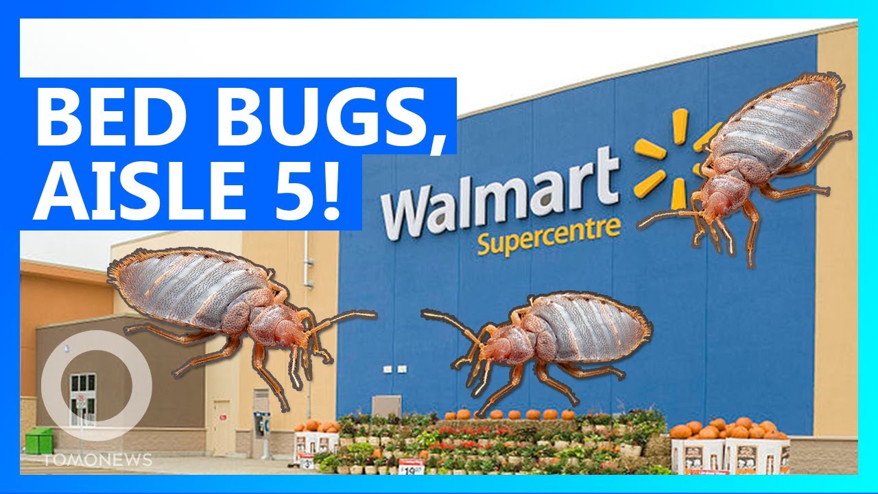 Someone released bedbugs inside a Pennsylvania Walmart - TomoNews - YouTube