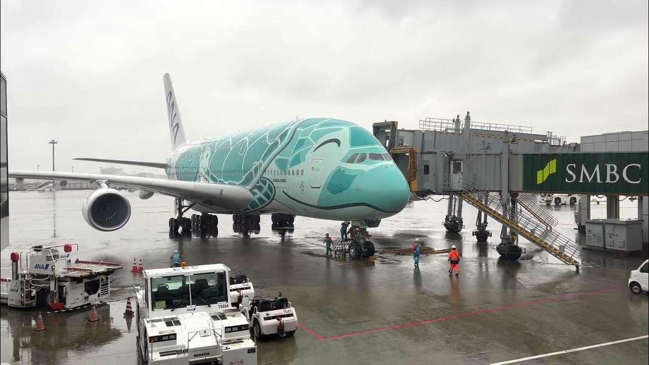 ANA Flying Honu - All Nippon Airways Airbus A380 Kai Livery JA382A Arriving in Narita 3-18-2023 ...