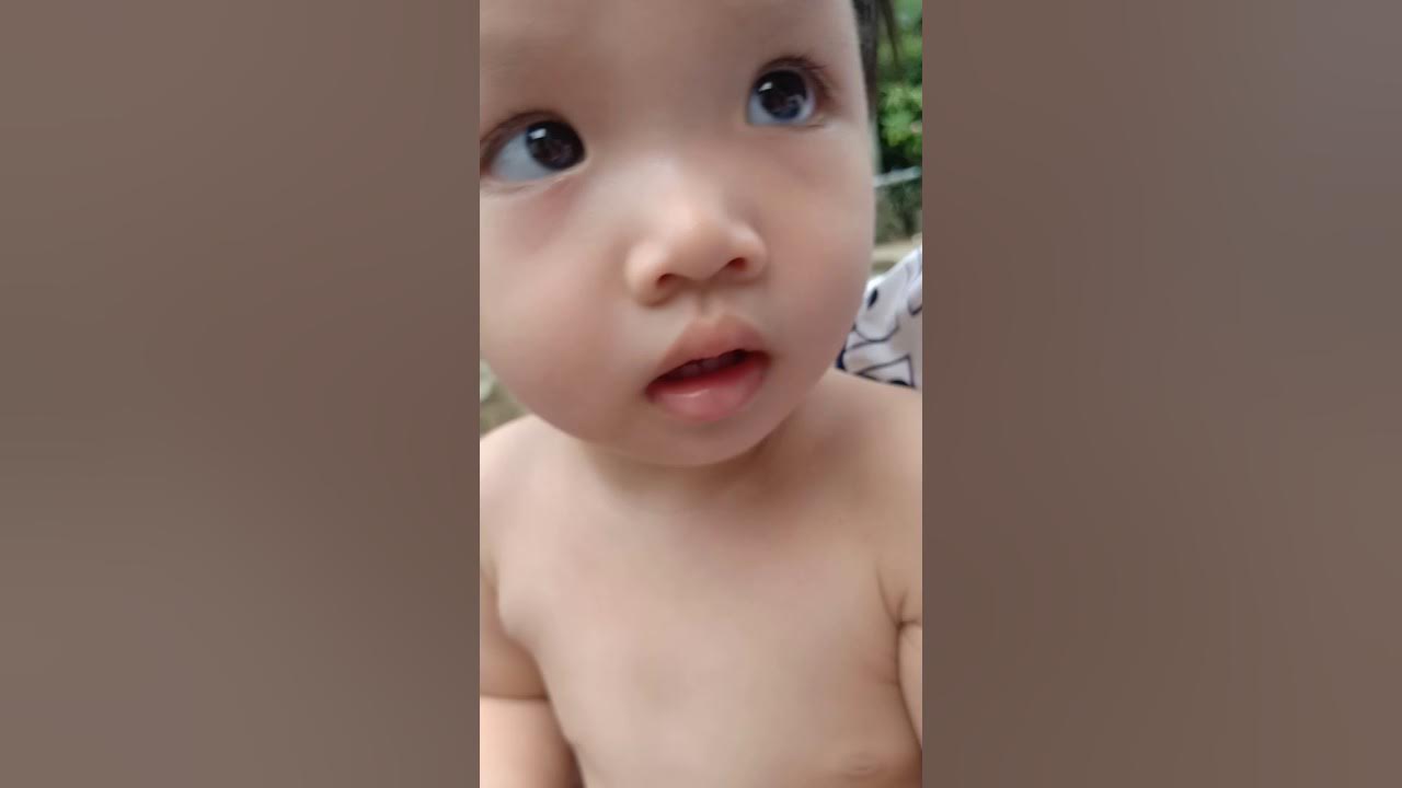 Thú cưng của tôi, trăn gấm 15kg (My pet, python 15kg) - YouTube