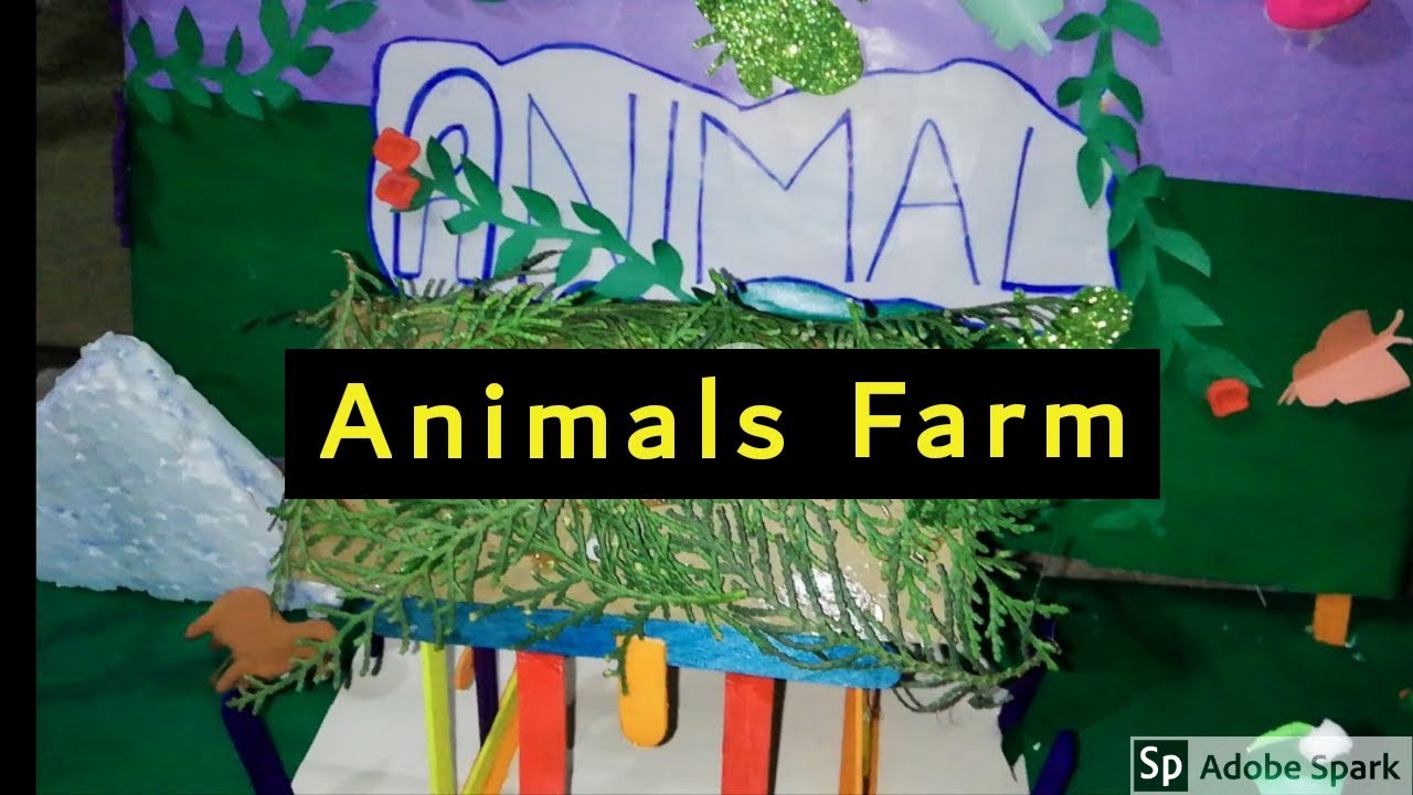 Animals farm video project for creatives. - YouTube