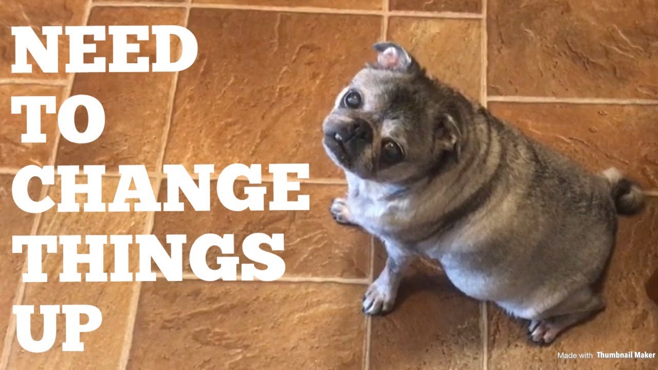 I Need To Change Things Up In My Business - YouTube