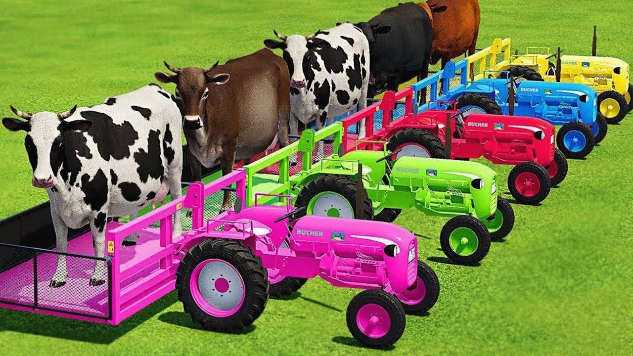 TRANSPORTING COWS WITH COLORED MINI TRACTORS & MAN TRUCKS - Farming ...