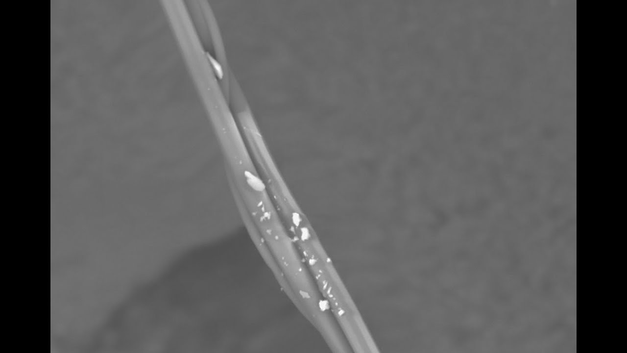 Dragline Spider Silk Collection Automation - YouTube