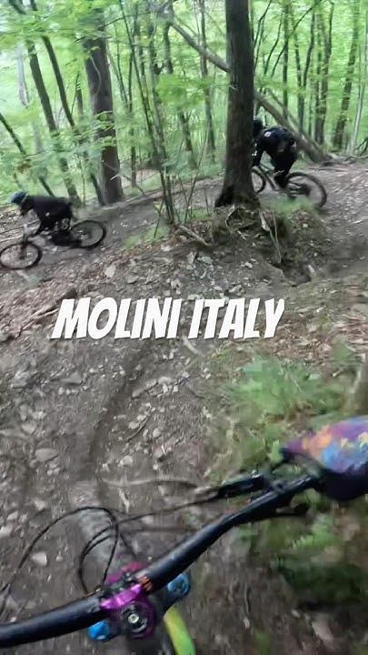 “FLOW” trail in Molini Italy! FULL VIDEO ON CHANNEL | #mtb #mountainbiking #italy - YouTube
