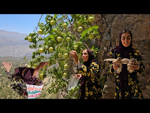 Terrifying Moment: Parvaneh Slipped and the Cameraman Reacted Instantly! 🚨😨🏔️