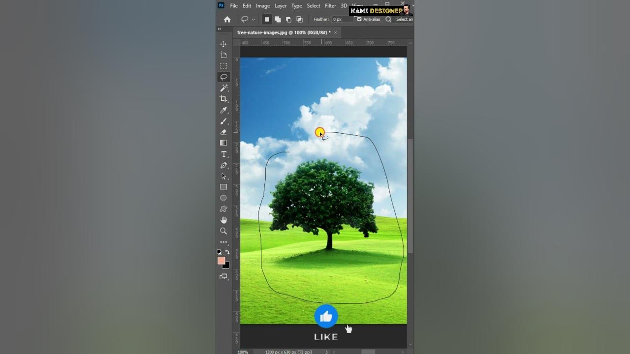 How To Use Lasso Tool In Photoshop Easy Way To Remove Any Object how-to-use-lasso-tool-in-photoshop-easy-way-to-remove-any-object