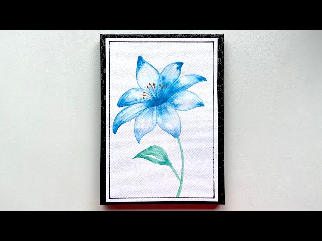 Blue Lily Flower Drawing