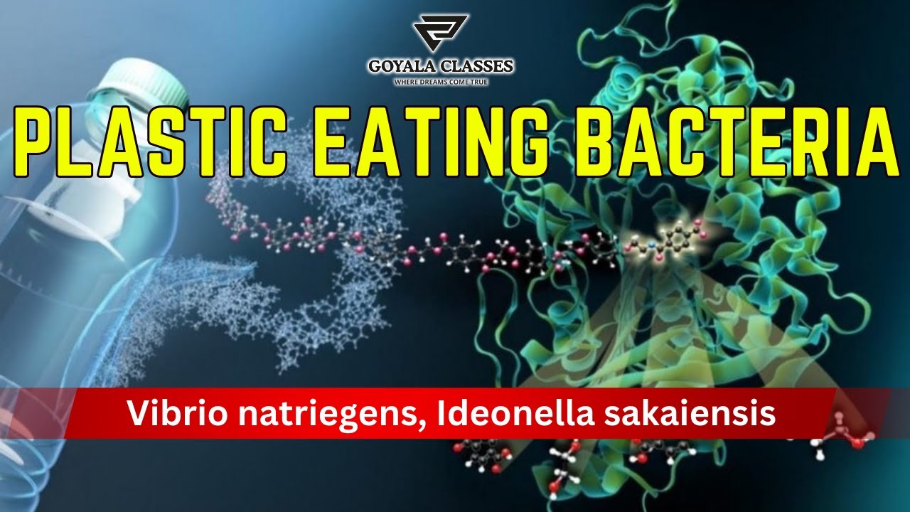Plastic eating bacteria | Vibrio natriegens, Ideonella sakaiensis #ias ...