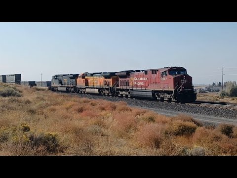 Canadian Pacific, ex BNSF GECX & CSX leads mixed fright north - YouTube