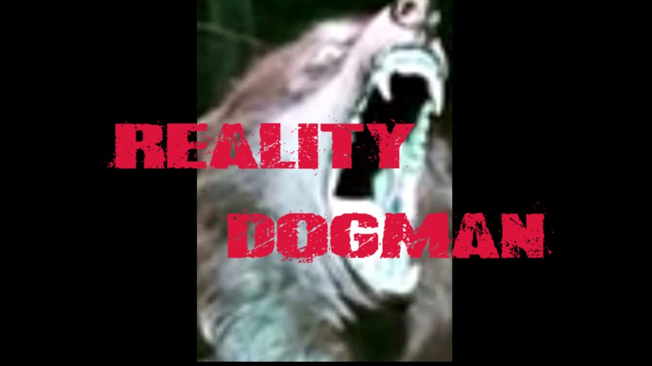 TRAIL CAMERA IN CALIFORNIA CAPTURES A DOGMAN! - YouTube