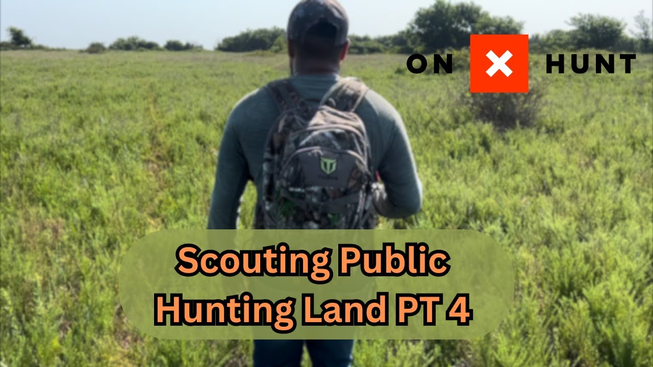 Scouting Public land PT 4 - YouTube
