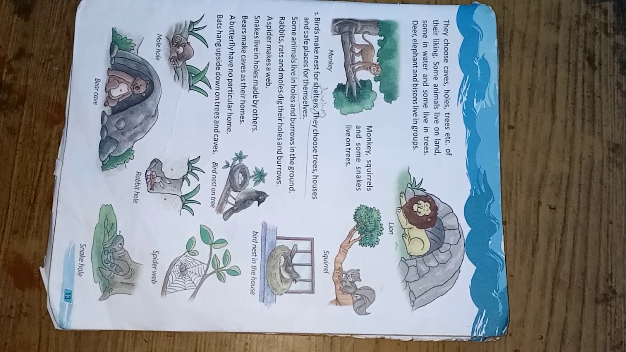 Class- 2 Science chapter-2 Wild Animals by Shankar Lal Sir - YouTube