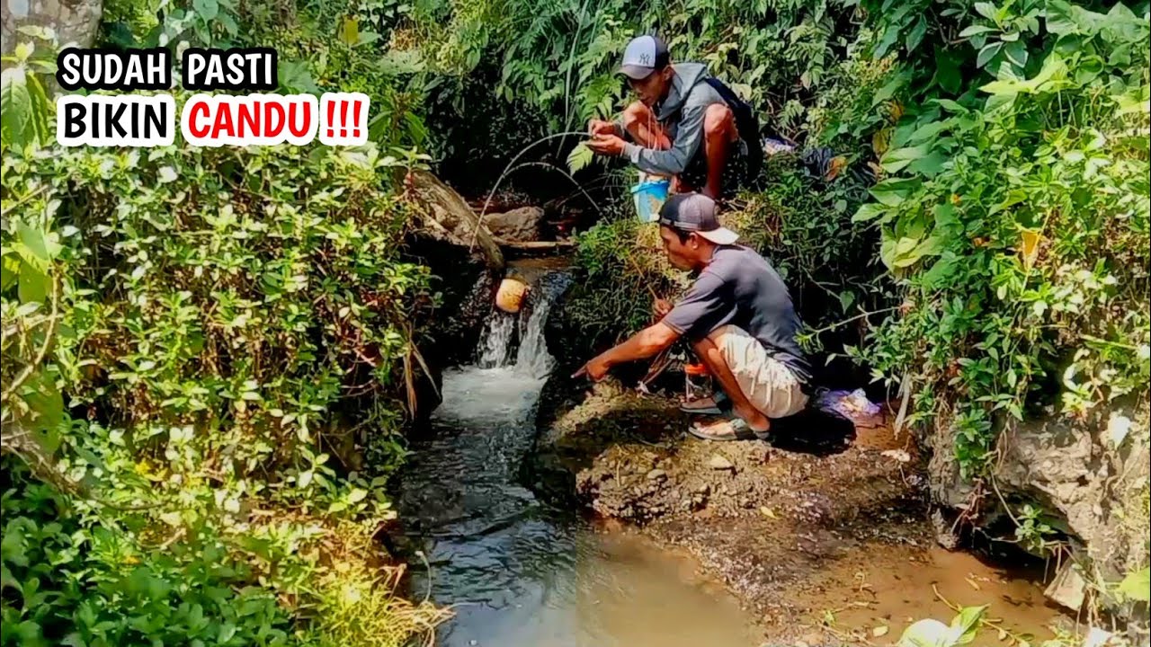Mancing ikan wader di Selokan Hari Ini Sangat Beruntung Ketemu Sarang Nya - YouTube