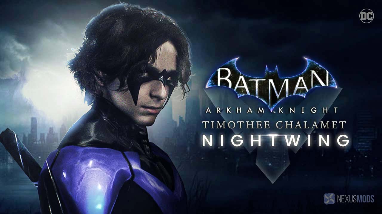 Timothee Chalamet Nightwing | Batman Arkham Knight MOD - YouTube