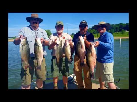 Charles Everette, Chuck, Adam, and Dannon Scott fishing for hybrids on ...