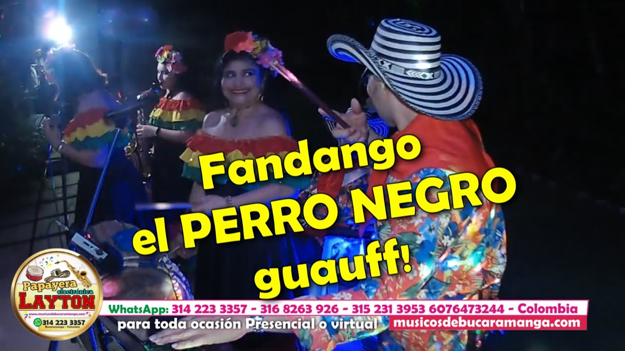 PERRO NEGRO Grrrr / papayera Bucaramanga 314 223 3357 Grupo Musical ...