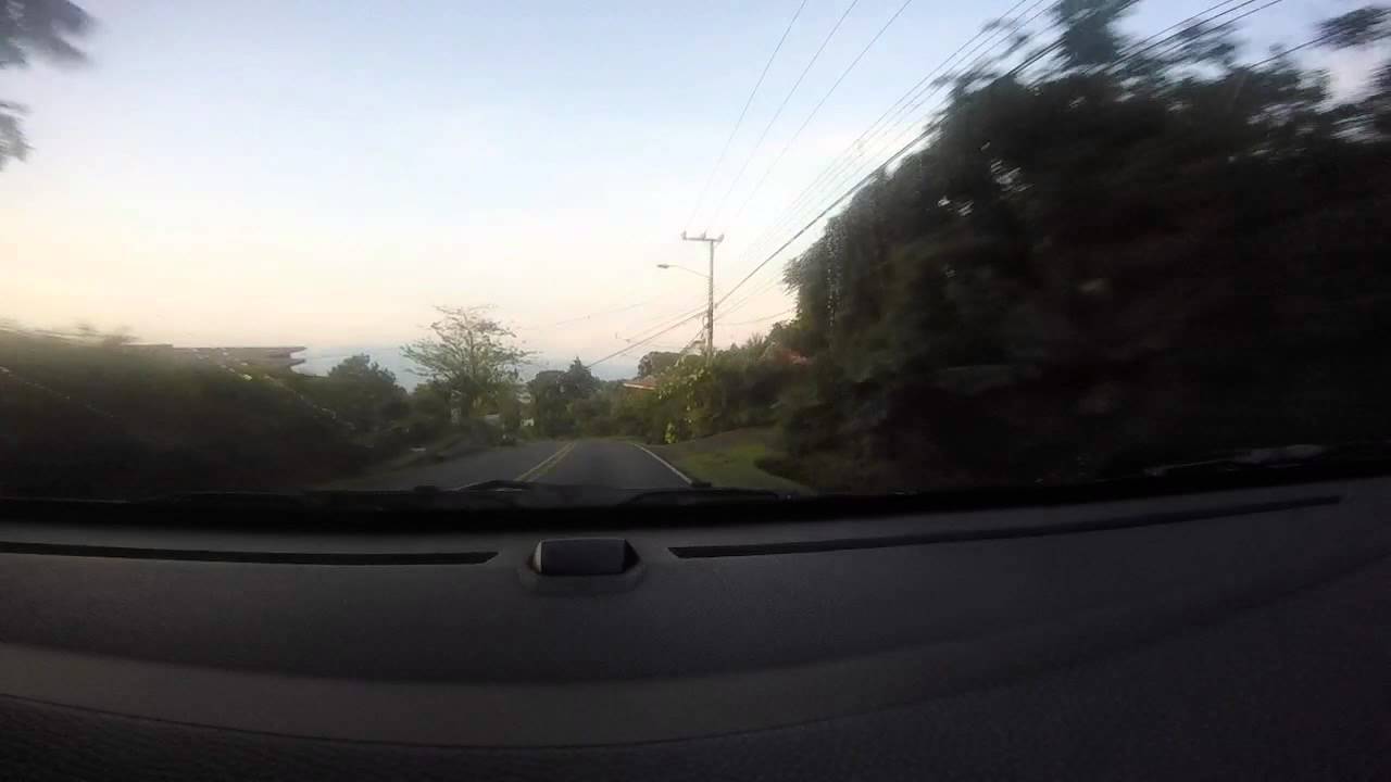 Pajaro Atropellado - YouTube