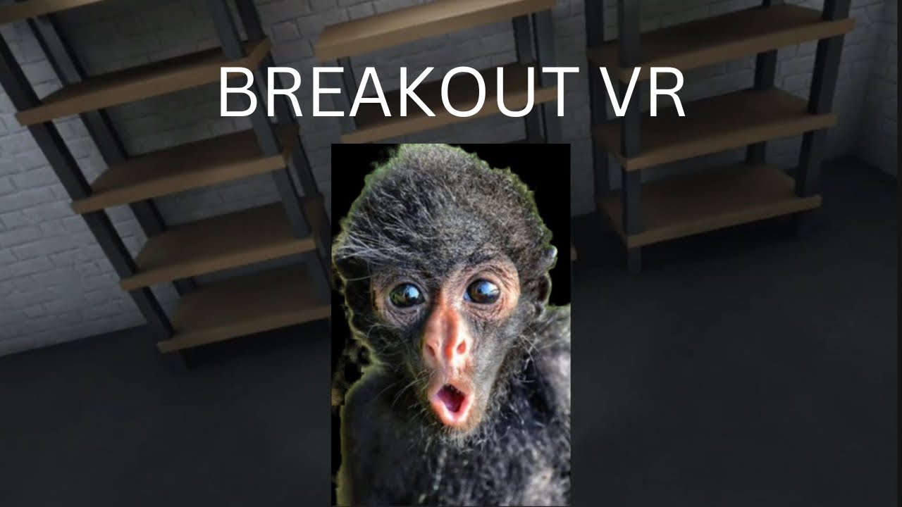 I Tried Breakout Vr - YouTube