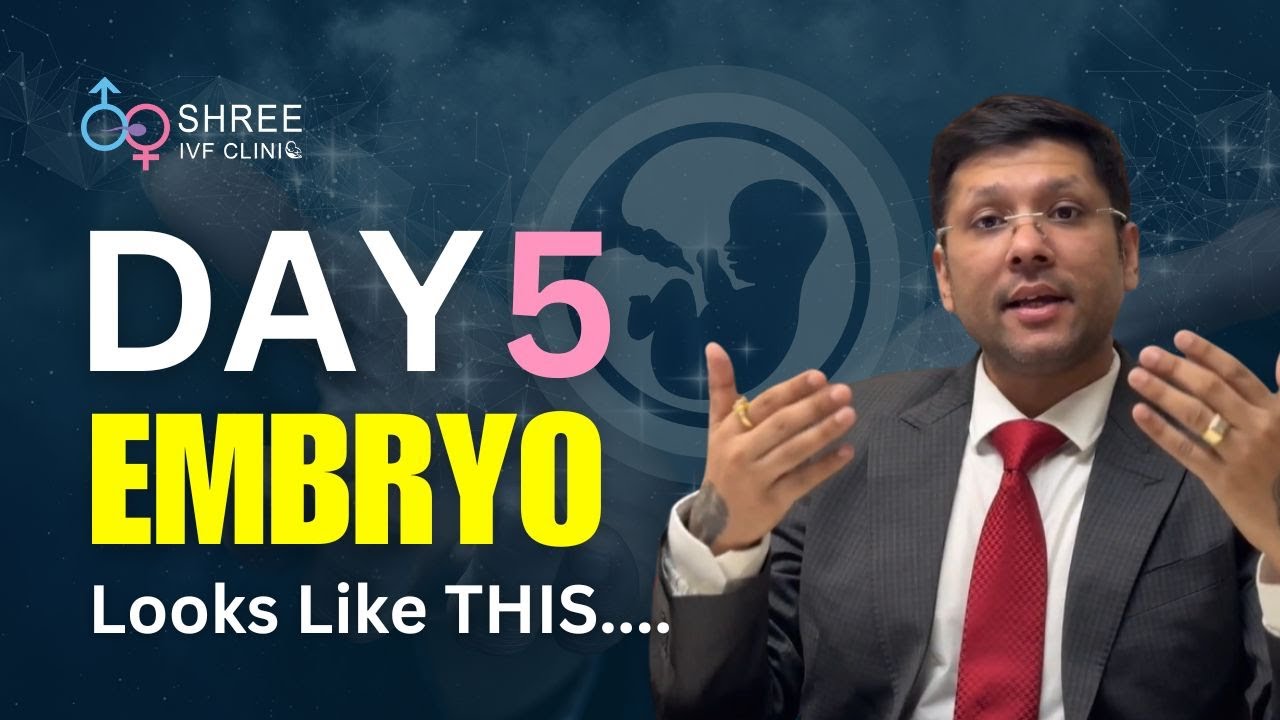 What Is a Good Embryo? IVF Grading Explained Step-by-Step! | Dr Jay ...