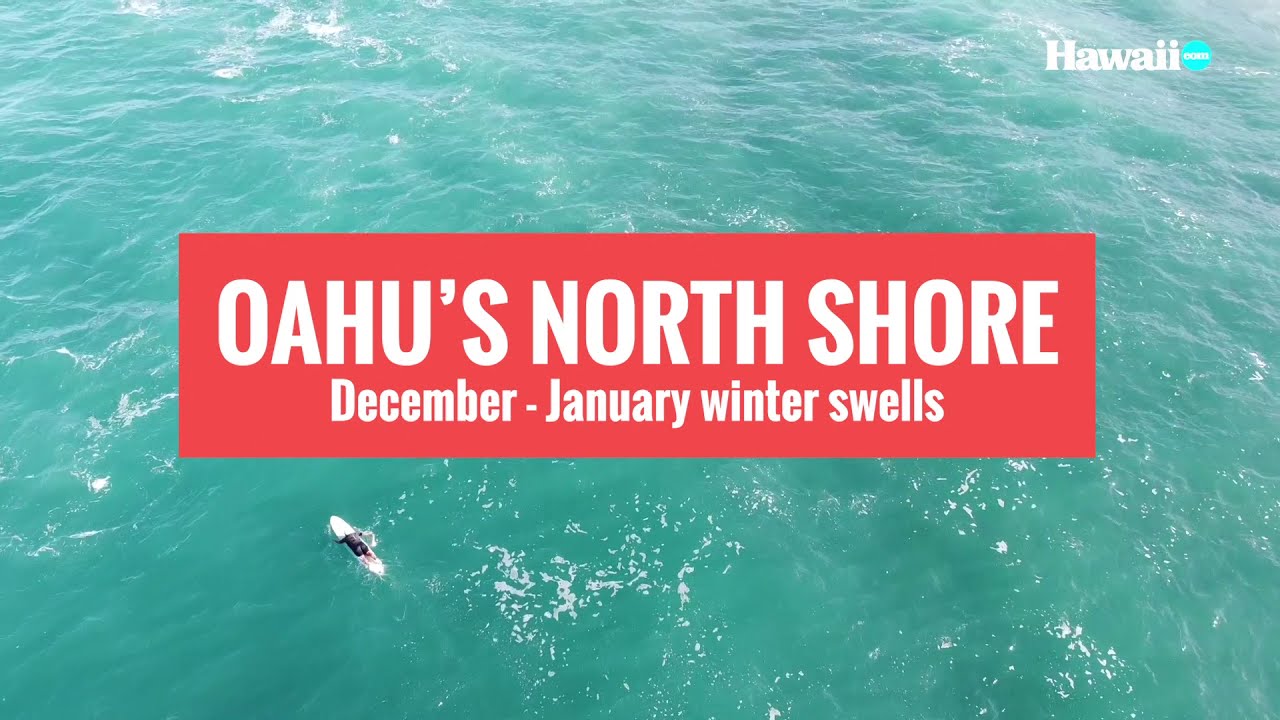 HUGE SURF up Oahu's North Shore! - YouTube