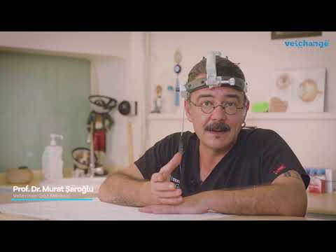 5 dk'da ''Lens Çıkığı'' Prof. Dr. Murat Şaroğlu