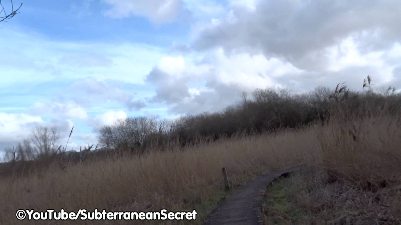 A Walk around Magor Marsh Small Nature Reserve in Gwent, South East ...