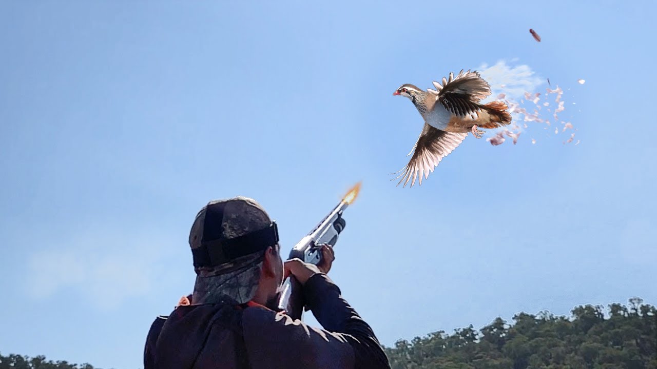 Chasse Perdrix et Lièvre Au Maroc (2020-2021) | TIDDAS PARTIE I - YouTube
