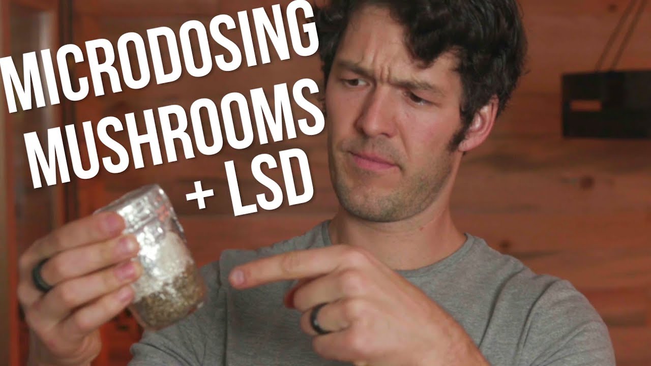 Microdosing Mushrooms, LSD & DMT: Experiences and Feedback - YouTube