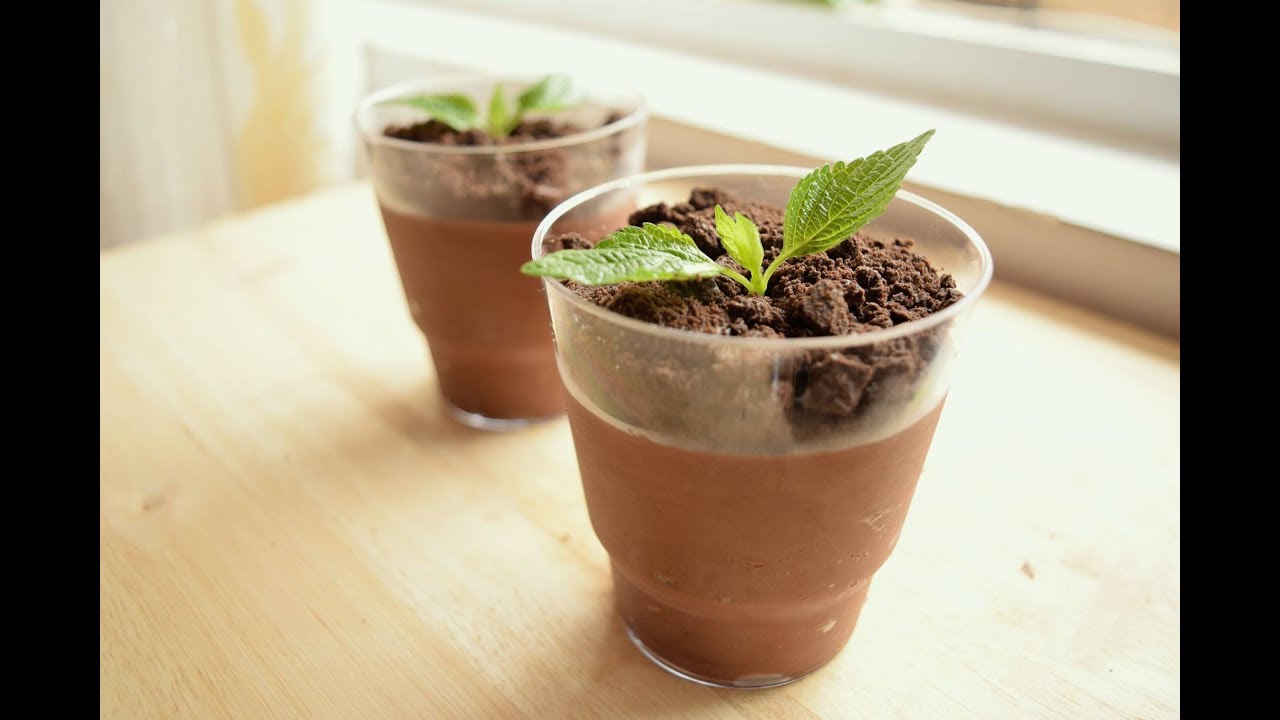 Cách làm bánh mousse socola | chocolate mousse| Bánh mousse chocolate ...