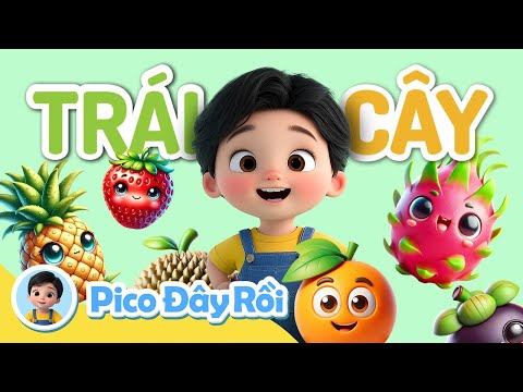 Quả Gì Đây 🍊 ? Cùng Pico Đoán Trái Cây Siêu Vui | Giáo Dục Sớm Cho Trẻ