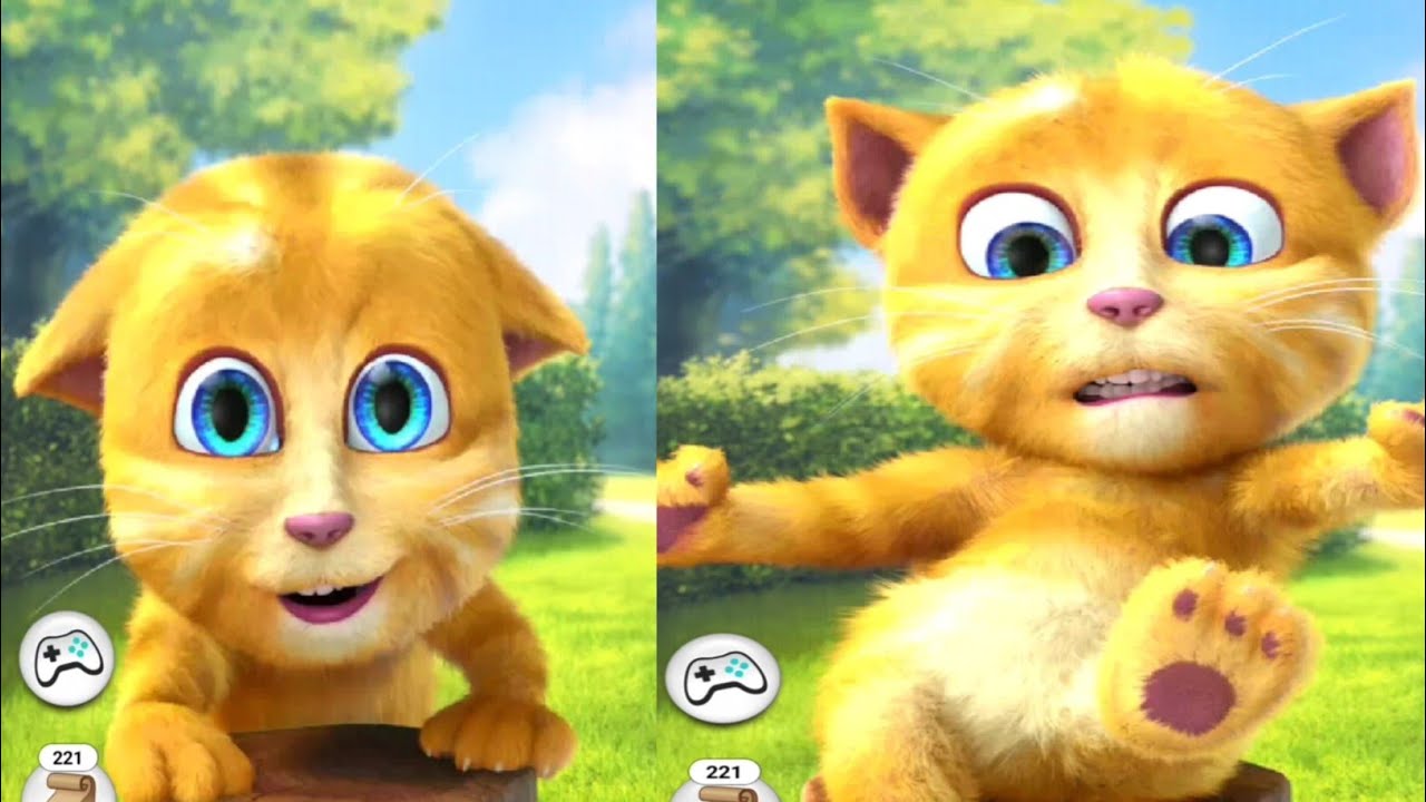 Talking Ginger 2 | my talking ginger cat | my talking ginger funny ...