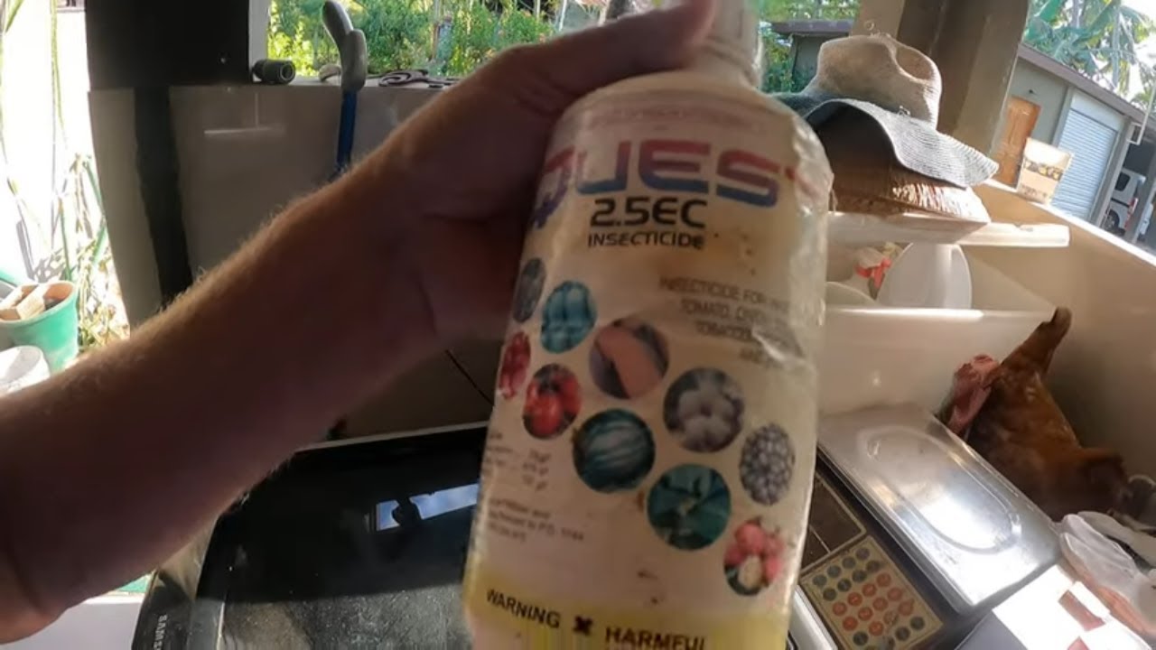 Update on the Quest 2.5EC insecticide on the ant problem on the farm ...