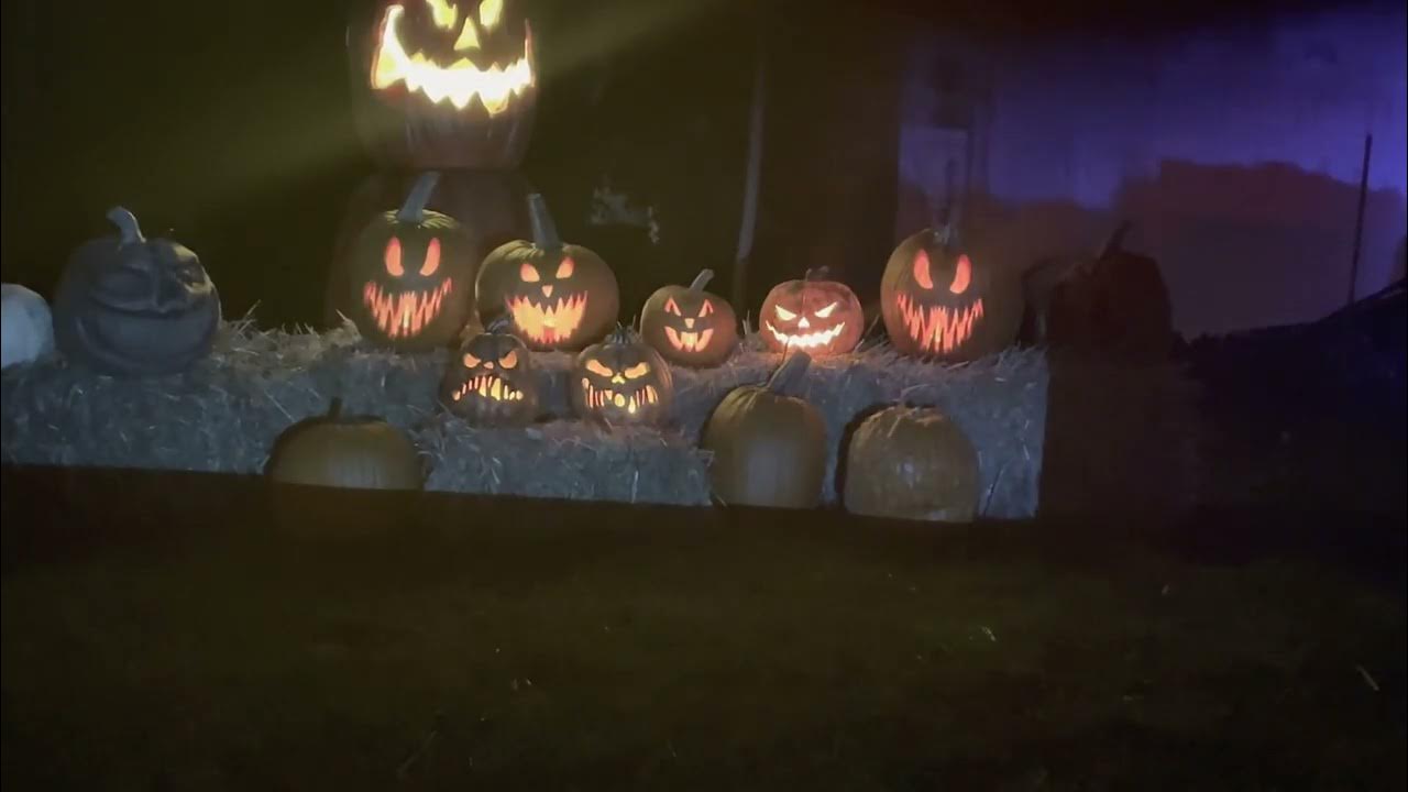 Singing pumpkins monster mash - YouTube