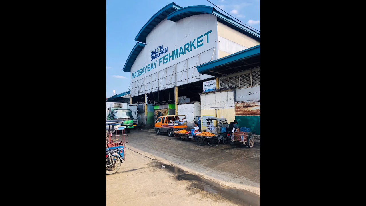 Explore Dagupan Fish Market - YouTube