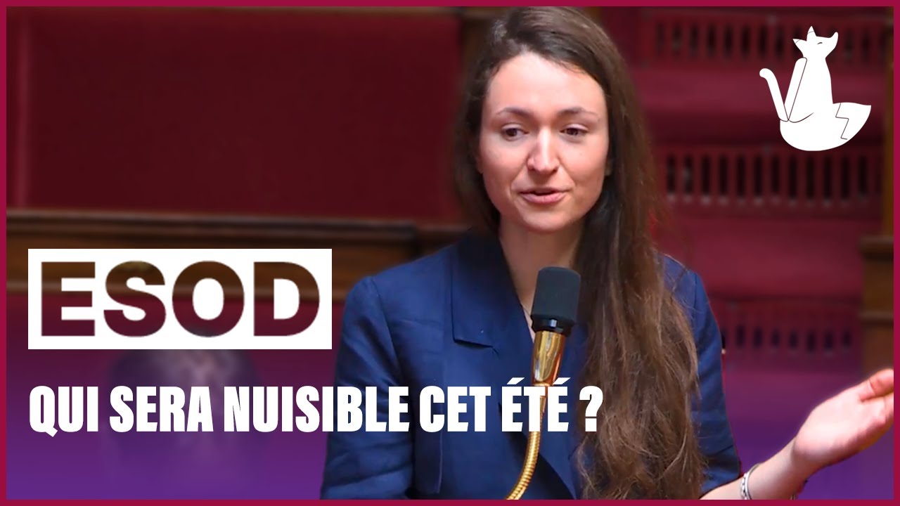 ESOD : Qui sera nuisible cet été ? - YouTube