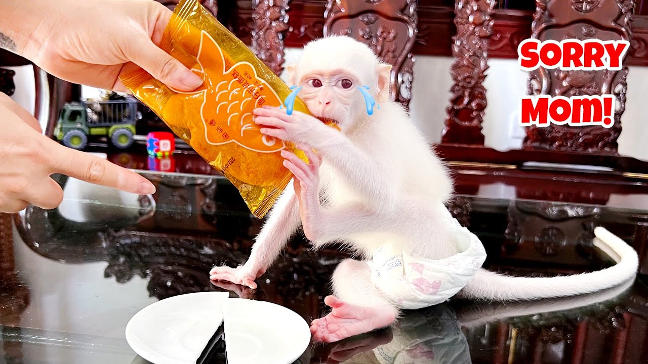 Why Did Ruby Run Away? - YouTube