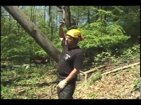 Remotely Set Lowering Line 2 - YouTube